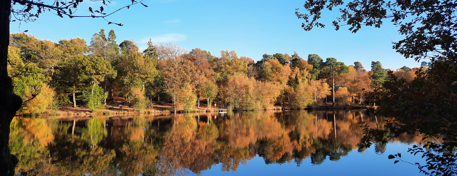 Buchan Country Park - West Sussex County Council