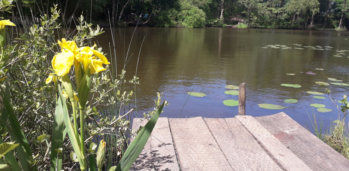 Buchan Country Park - West Sussex County Council