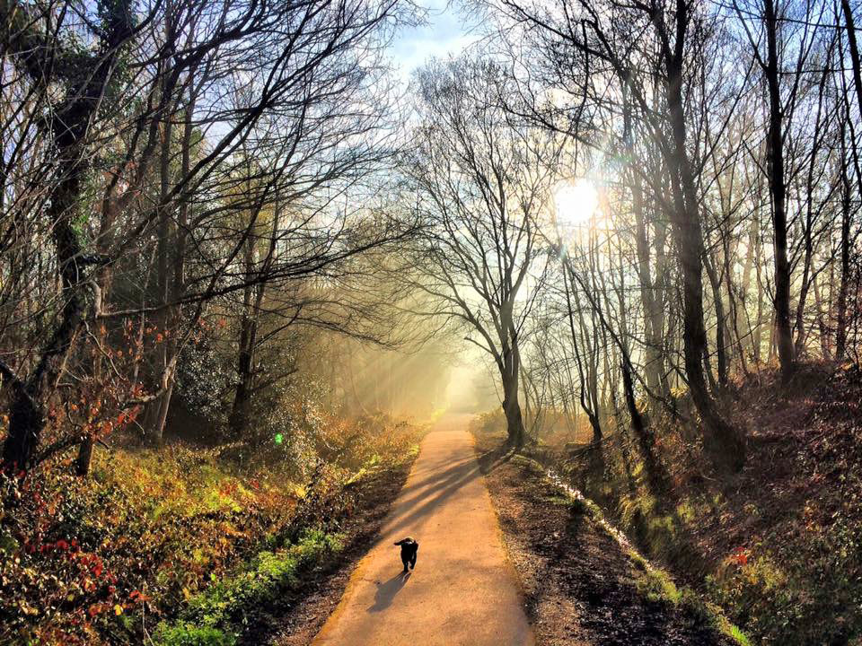 Buchan Country Park - West Sussex County Council