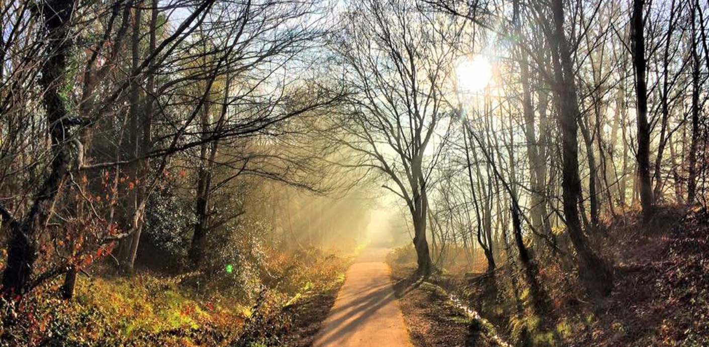 Buchan Country Park - West Sussex County Council