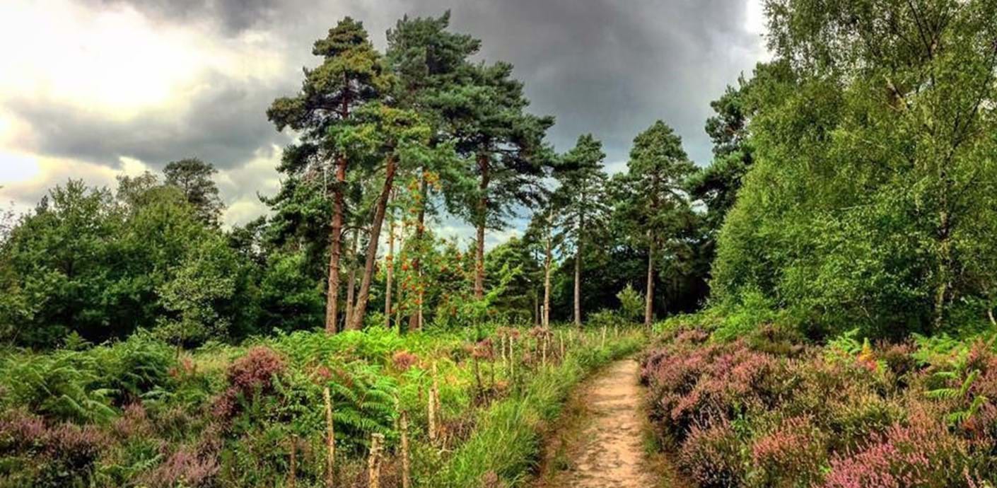 Buchan Country Park officially recognised as one of the country’s best ...