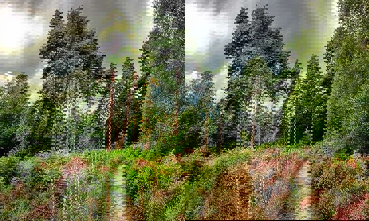 Buchan Country Park officially recognised as one of the country’s best ...