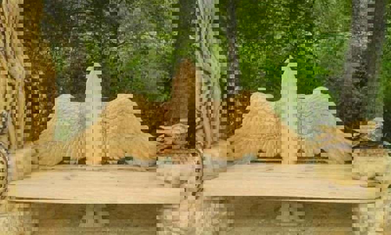 Buchan Country Park officially recognised as one of the country’s best ...