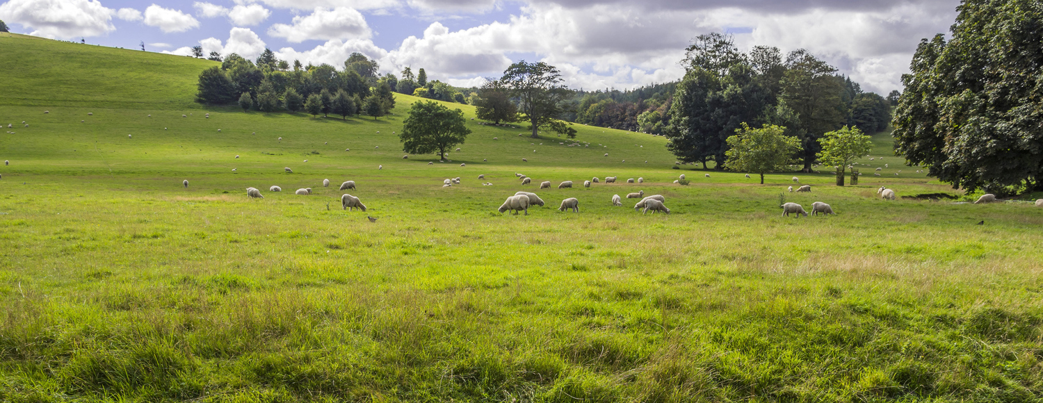 Centurion Way Railway Path - West Sussex County Council