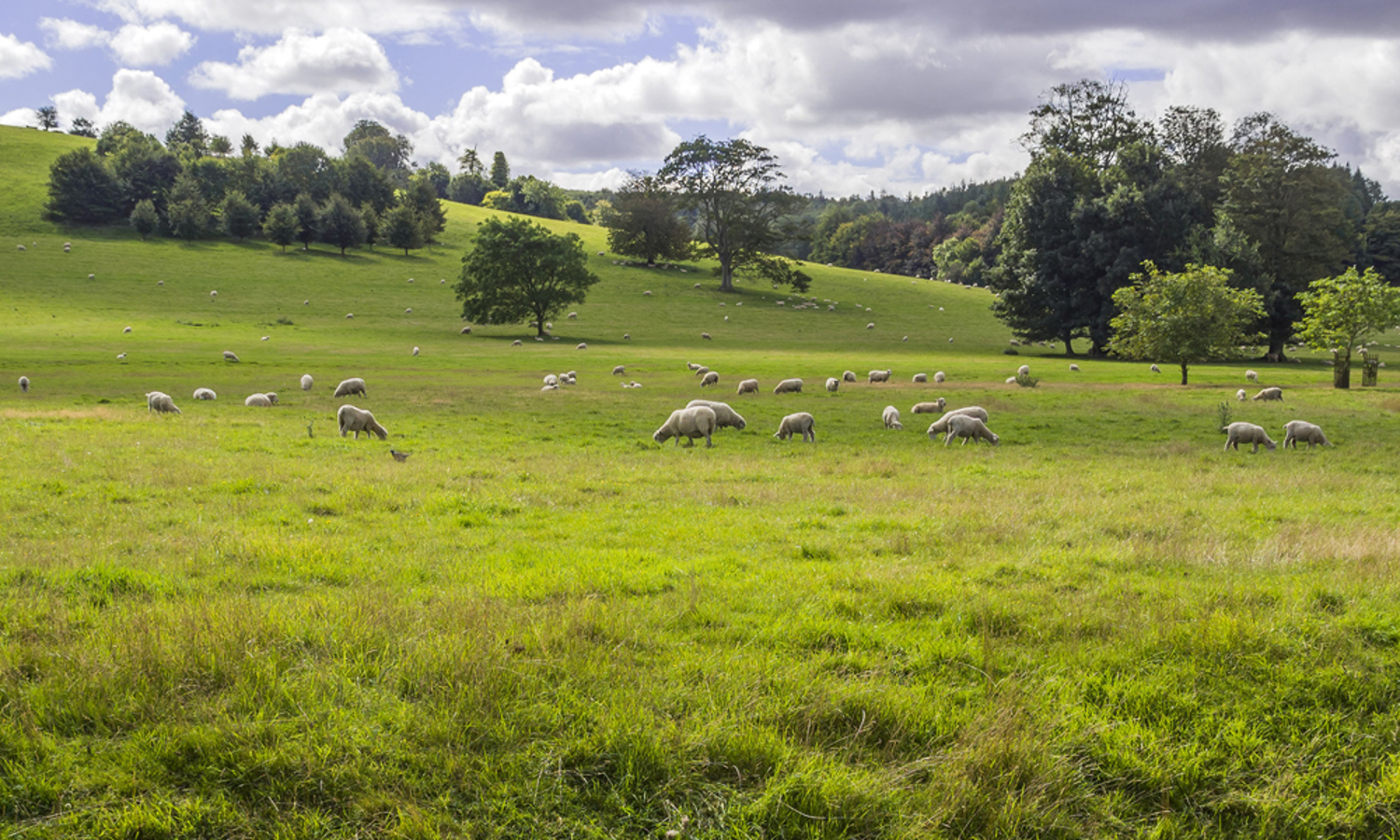 Centurion Way Railway Path - West Sussex County Council