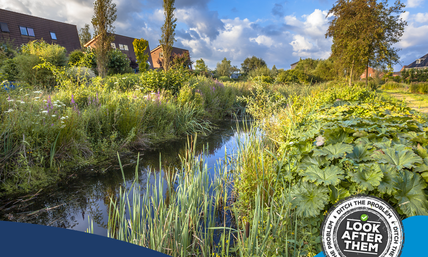 How does your watercourse flow in West Sussex? - West Sussex County Council
